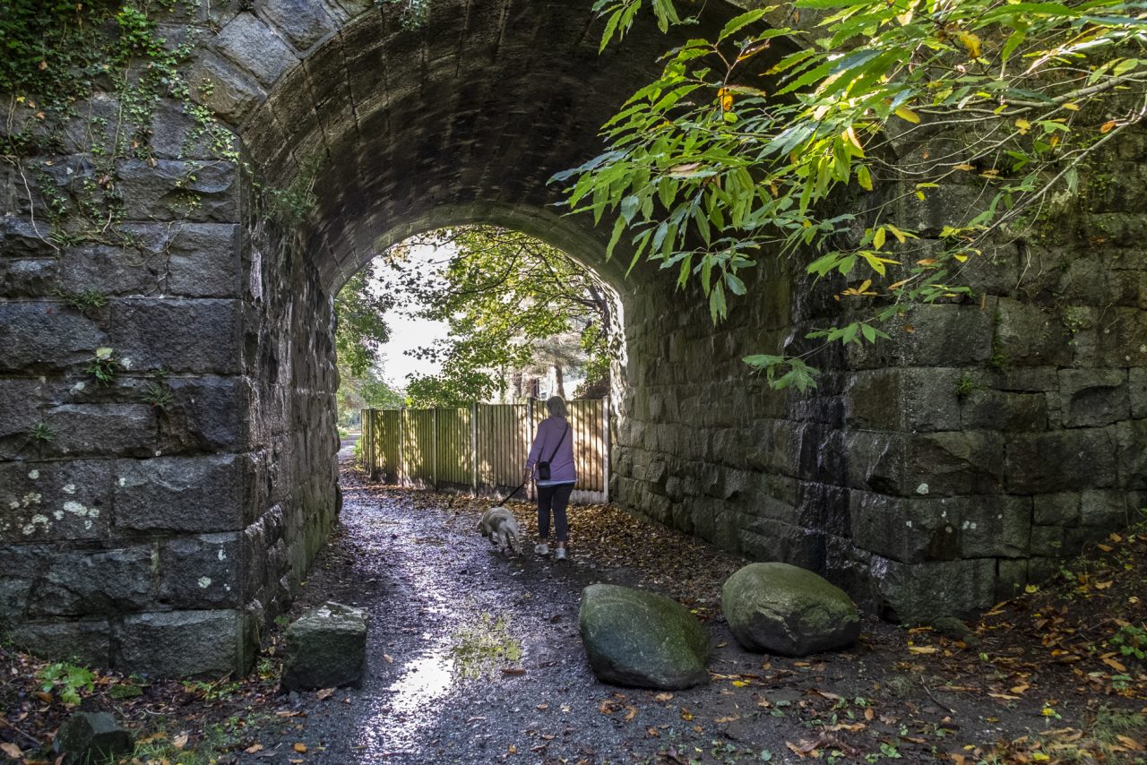 Tinahely Railway Walk - Paul Sherwood