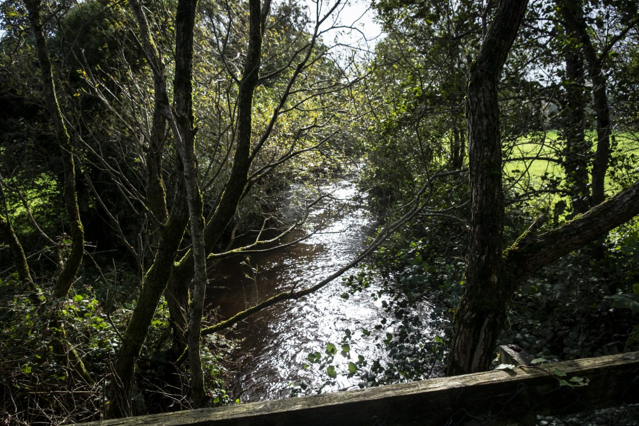 Tinahely Railway Walk - Paul Sherwood