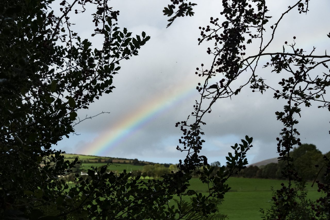 Tinahely Railway Walk - Paul Sherwood
