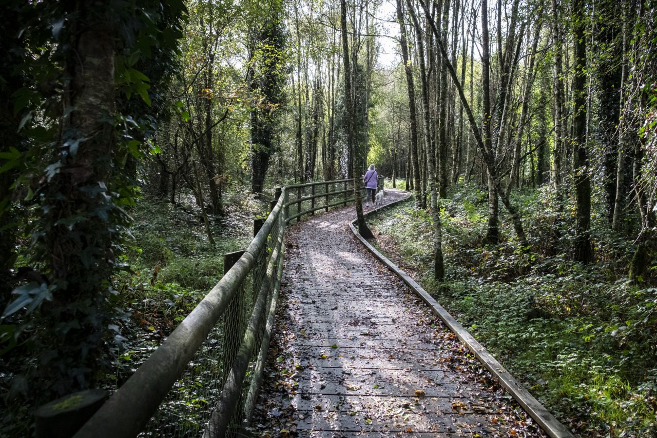 Tinahely Railway Walk - Paul Sherwood