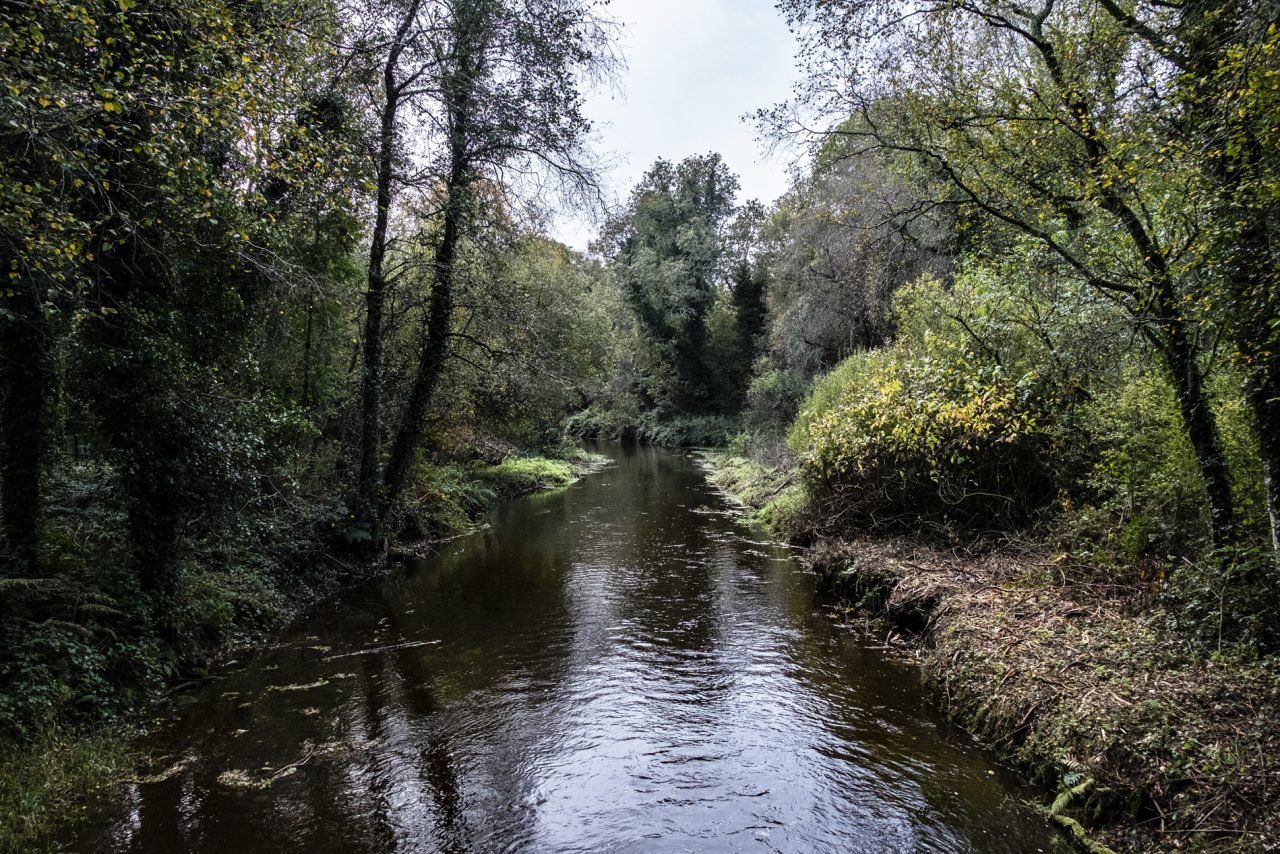 Tinahely Railway Walk - Paul Sherwood
